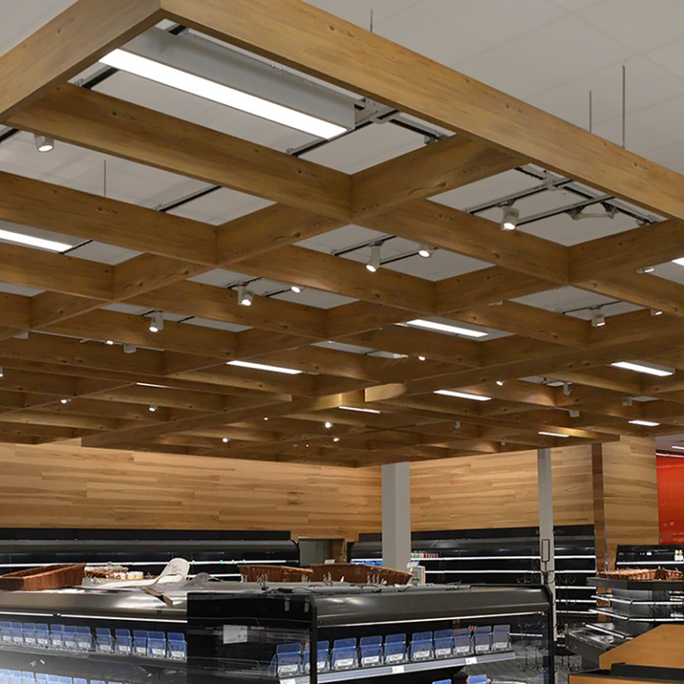 Strut Channel System Lighting Products | BusSTRUT